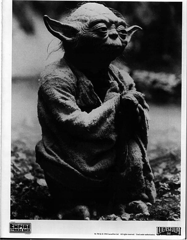 Yoda • Multimédia • Star Wars Universe